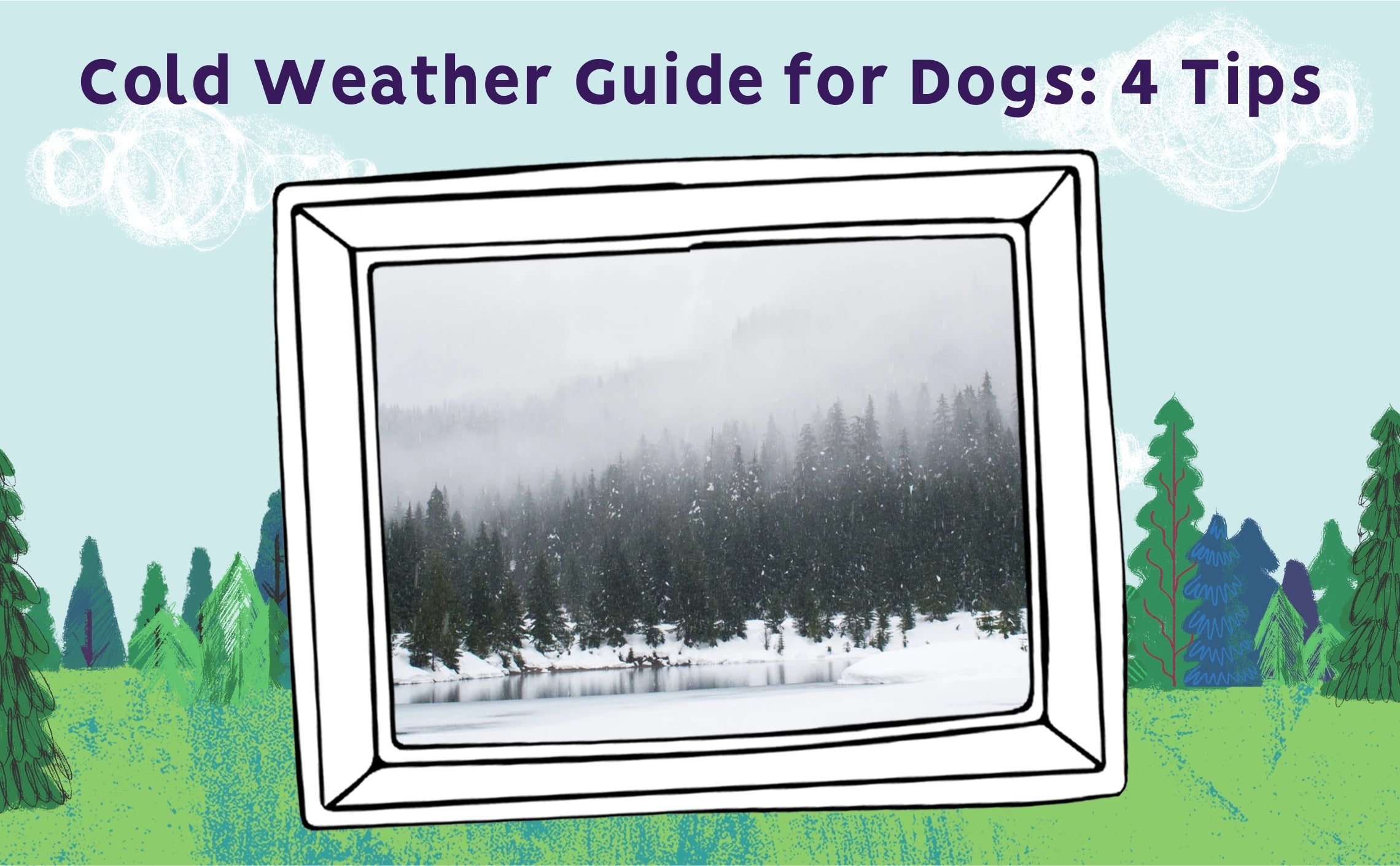 Cold Weather Guide for Dogs: 4 Tips | Austin and Kat