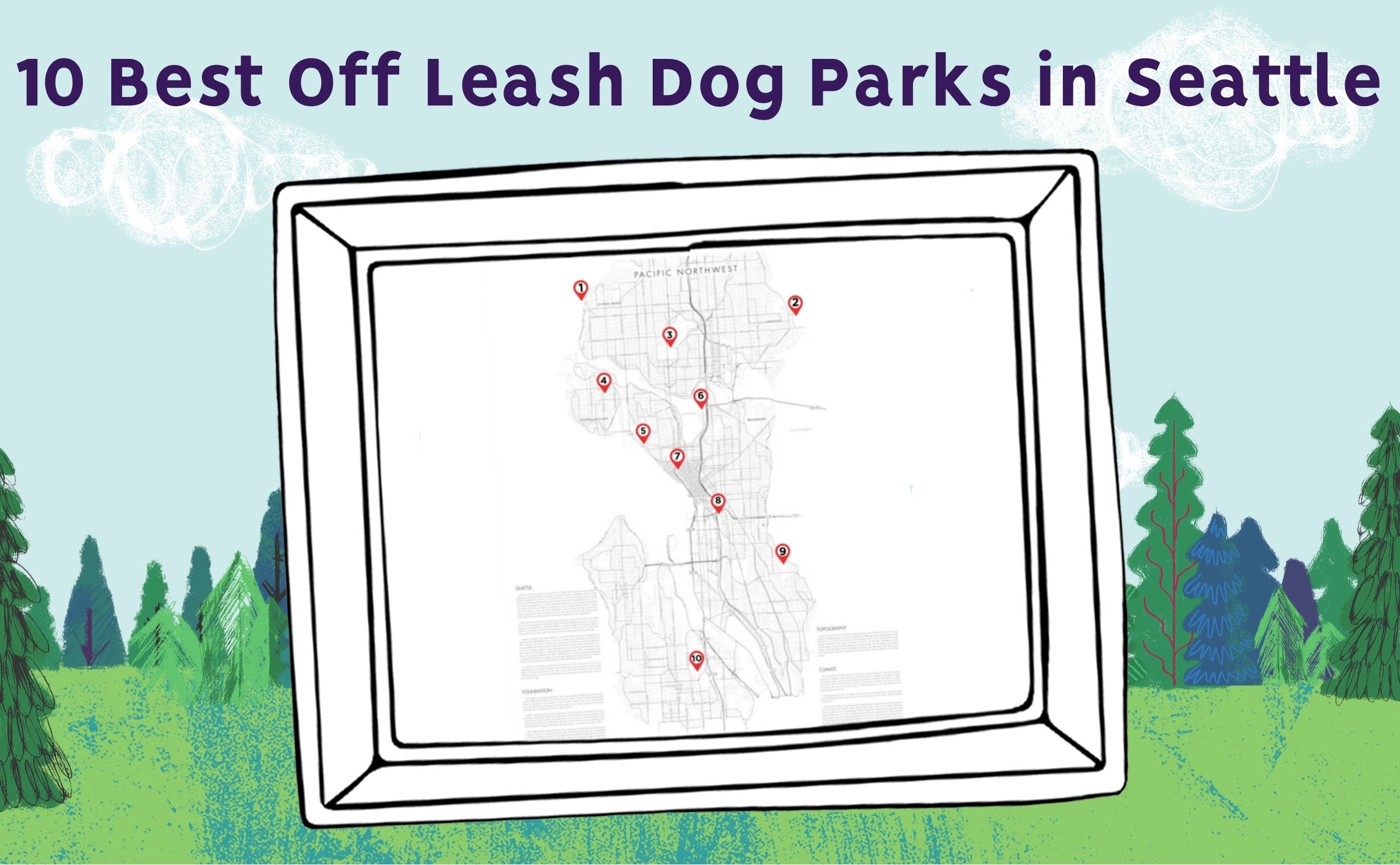 10 Best Off Leash Dog Parks in Seattle | Austin and Kat