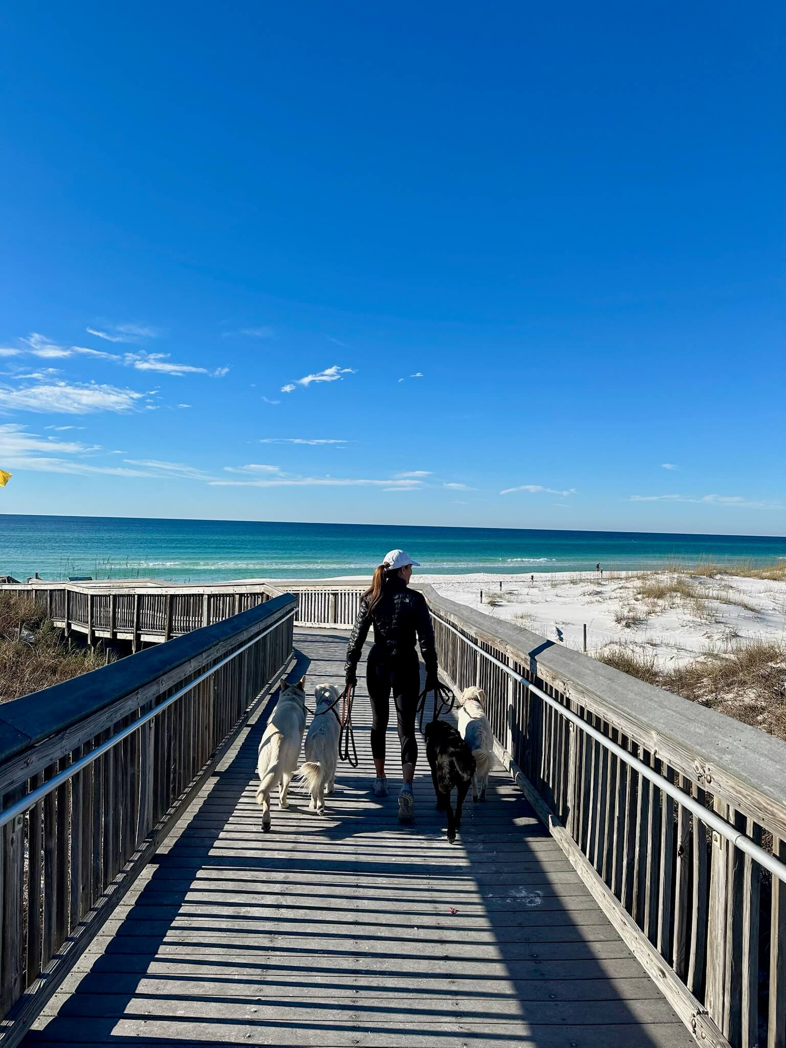 January 2025 | Austin and Kat