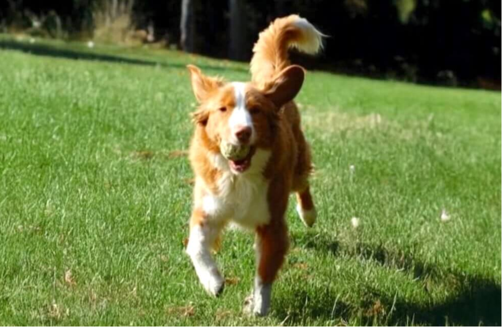 Brady's Senior Formulas | Austin and Kat