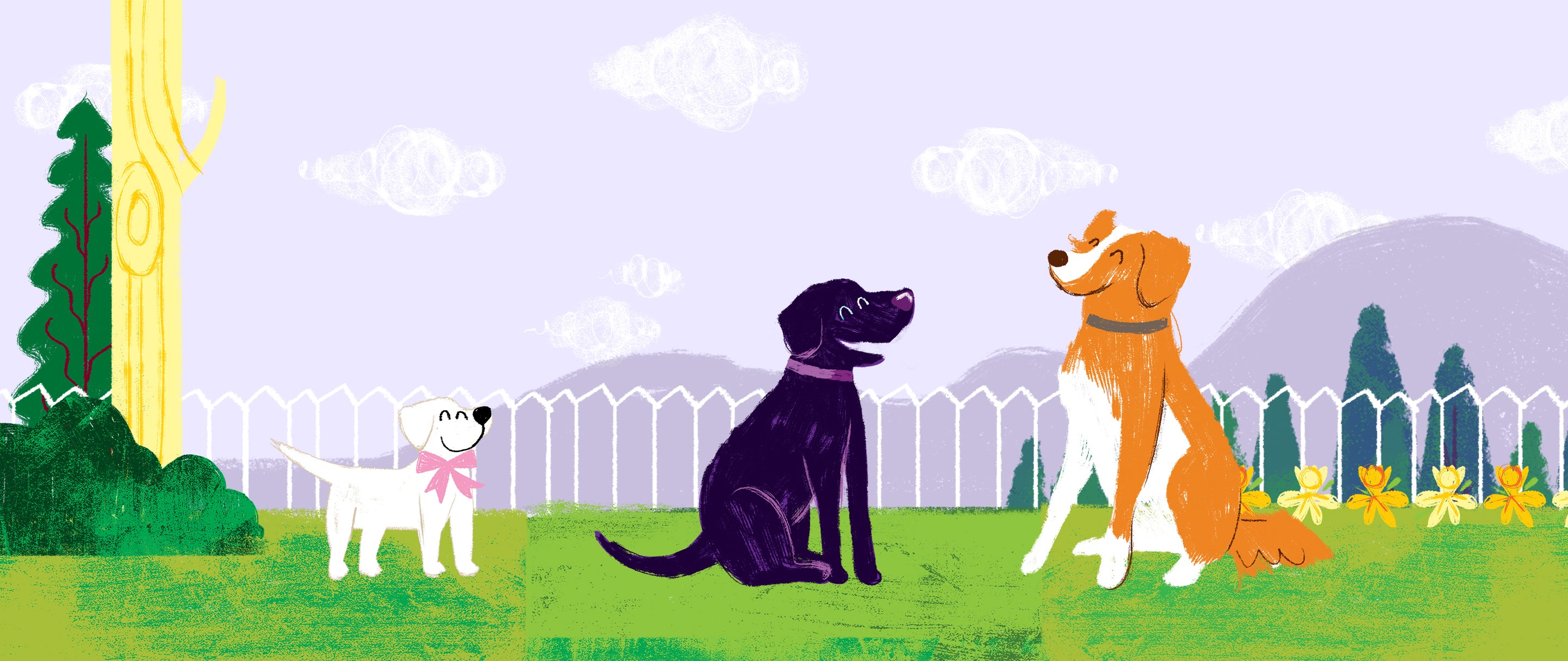 Stage of Life | Austin and Kat