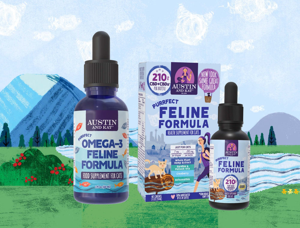 CBD Dosing Guide For Dogs 2025 | Austin and Kat